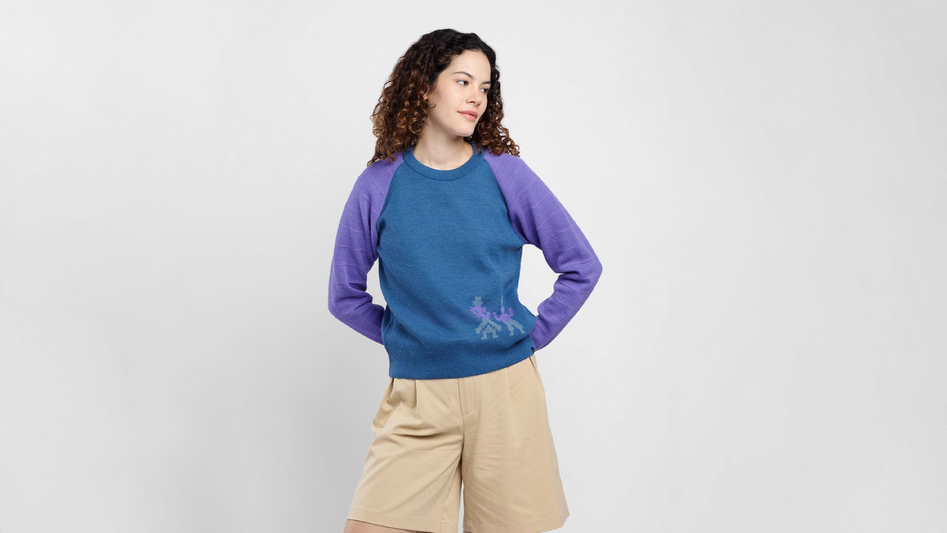 Chompas & Cardigans Mujer – Patapampa Peru